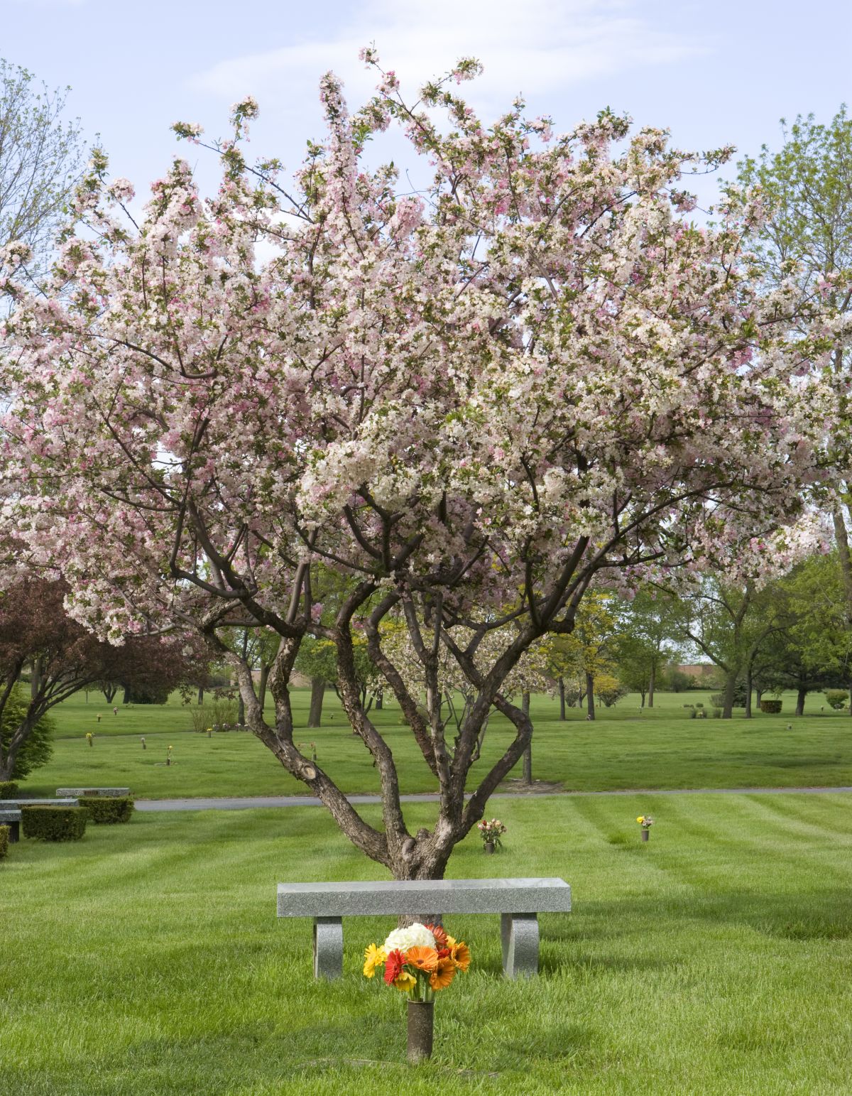 Memorial Dedications | Shalom Memorial Cemetery & Mausoleum