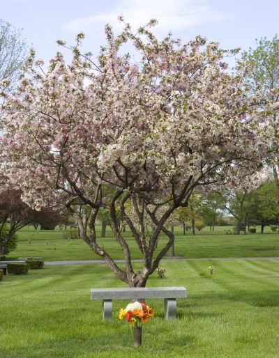 Memorial Dedications | Shalom Memorial Cemetery & Mausoleum